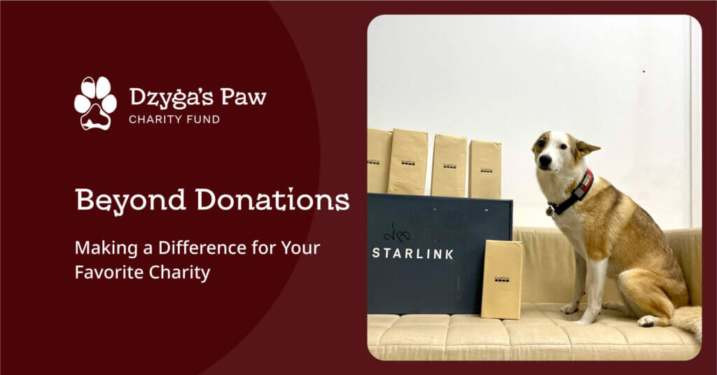 Beyond Donations: Making A Difference For Your Favorite Charity • Dzyga ...